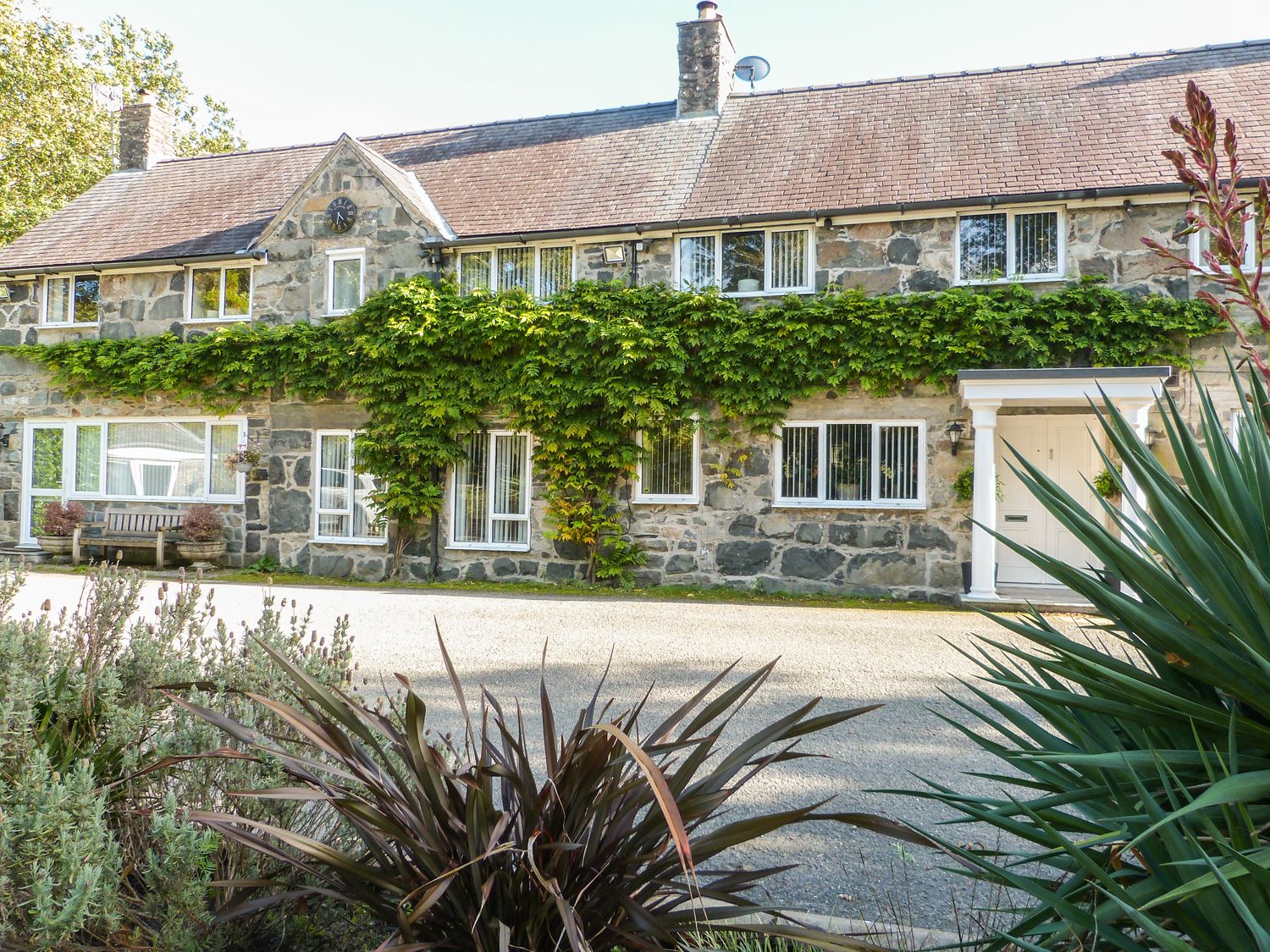 Seagull Cottage, Trearddur Bay | Holiday Cottage | Bird Spot
